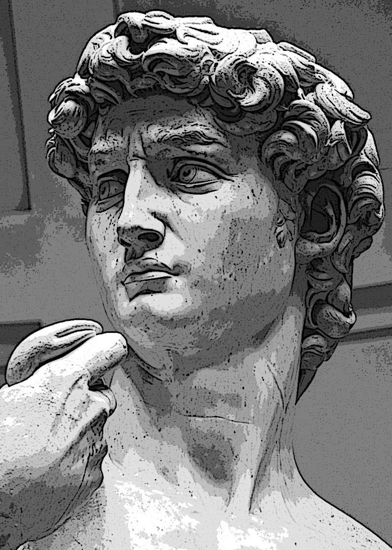 david_posterized – Viking Fusion